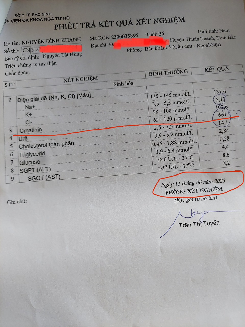 ”Suy thận có uống được lá tía tô không? Tìm hiểu về tác động của lá tía tô đối với sức khỏe”